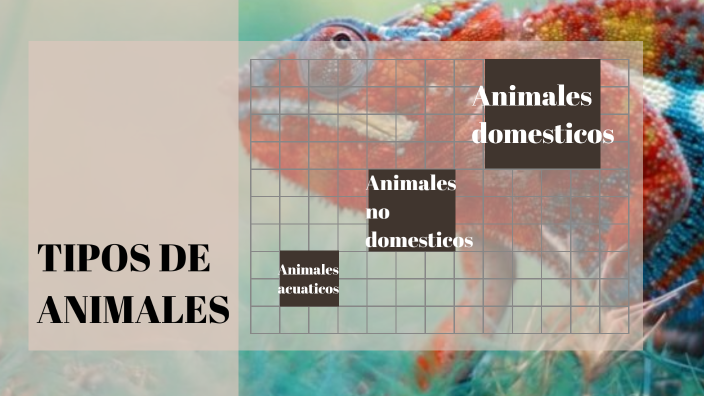 TIPOS DE ANIMALES by sebastian sierra hernandez on Prezi