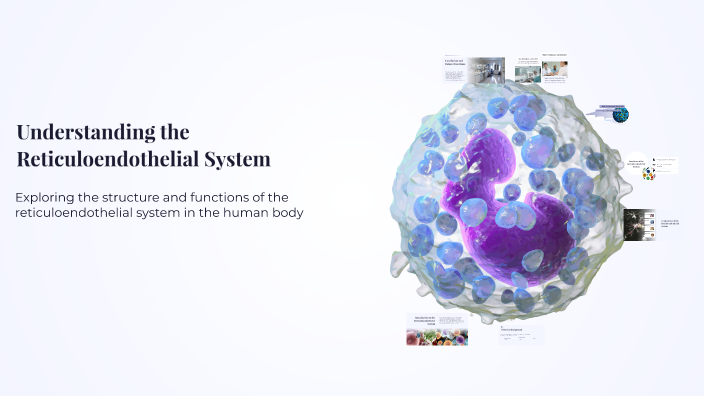 Understanding the Reticuloendothelial System by Mujahid Akbar on Prezi