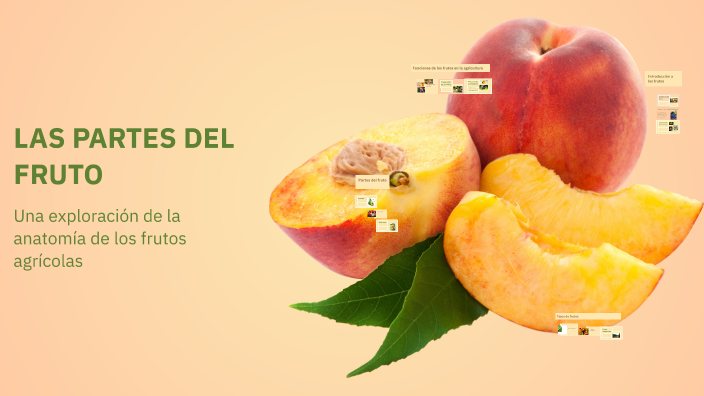 LAS PARTES DEL FRUTO by Dairon Alexis Rodriguez Benavides on Prezi