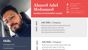 Ahmed Adel CV 2020 by Ahmed Adel on Prezi Design