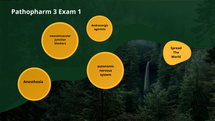 Pathopharm 3 Exam 1 by Bethany Alvarez on Prezi