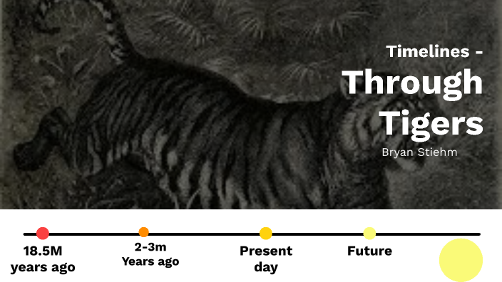 Tiger Timeline-BryanS by Bryan Stiehm on Prezi
