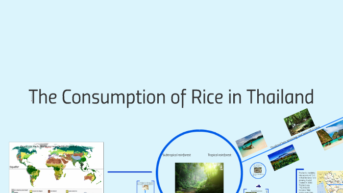 Thailand's Rice Production by Meg Tomkinson on Prezi
