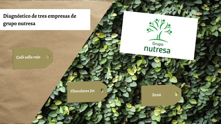 Diagnóstico de tres empresas del grupo nutresa by BRAYAN HERNANDO ...