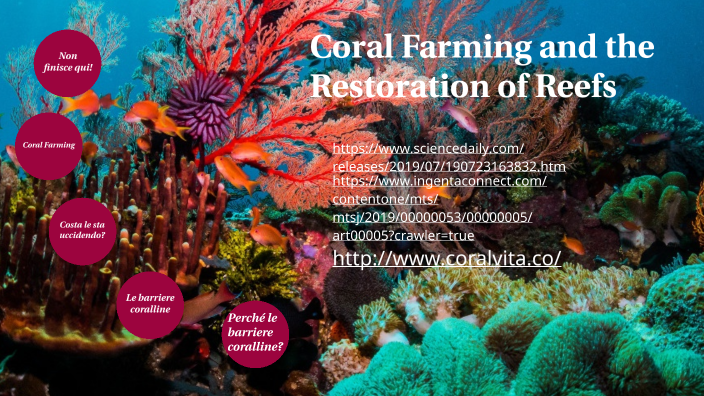 Coral Farming and the restoring of reefs by stephen smith on Prezi