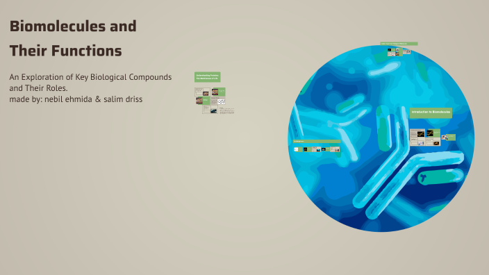 Biomolecules and Their Functions by nabel ehmeda on Prezi