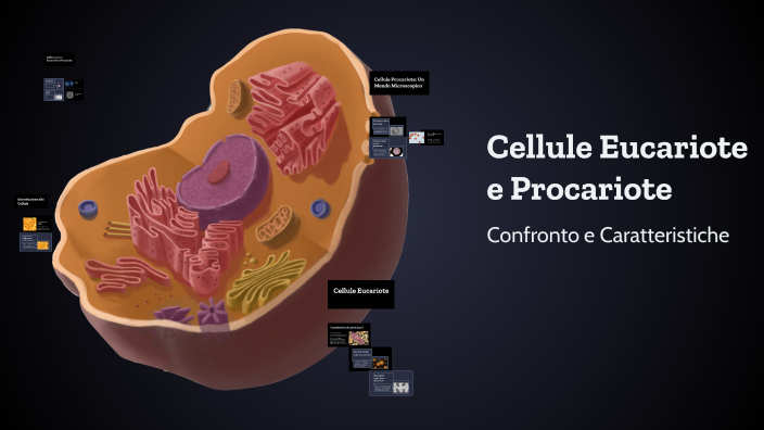Cellule Eucariote e Procariote by Tedi Qerrushi on Prezi
