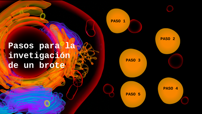 Pasos para la investigación de un brote 1-5 by Karina Jerónimo Galán on ...