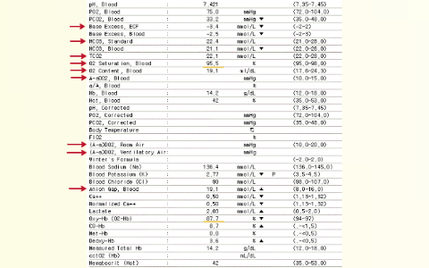 ABGA 강의 by 진 고 on Prezi