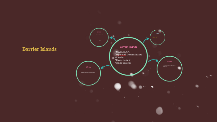 Haleigh Harris barrier islands by Cathy Poole