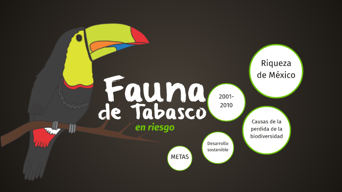 Fauna de Tabasco by Ruth Jael Olan Aguilar on Prezi