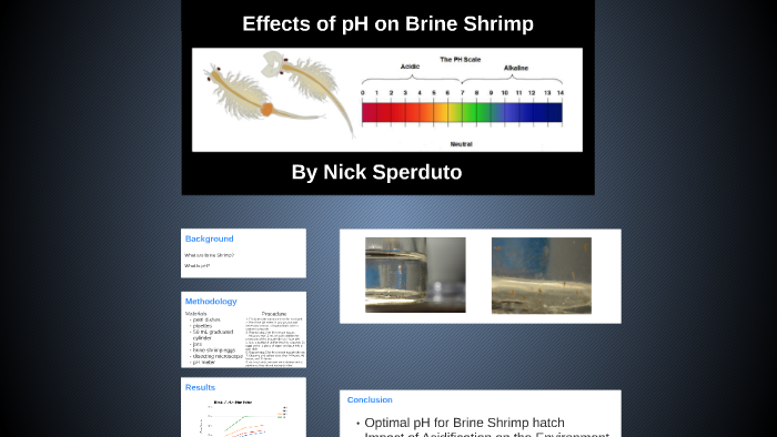 Effects of pH on the Hatching Rate of Brine Shrimp by Nick Sperduto on ...