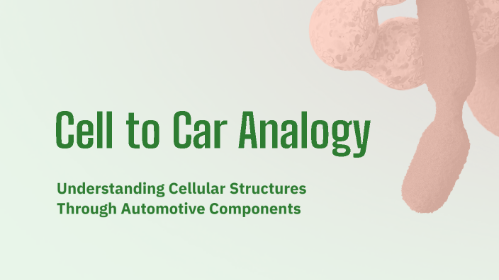 Cell to Car Analogy by Remington Palmer on Prezi