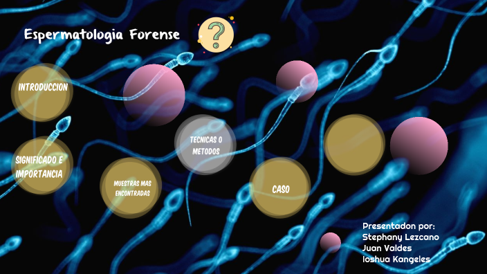 espermatologia by Stephany Lezcano guerra on Prezi