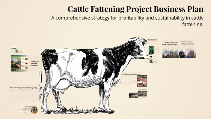 Cattle Fattening Project Business Plan by Victor Moola on Prezi