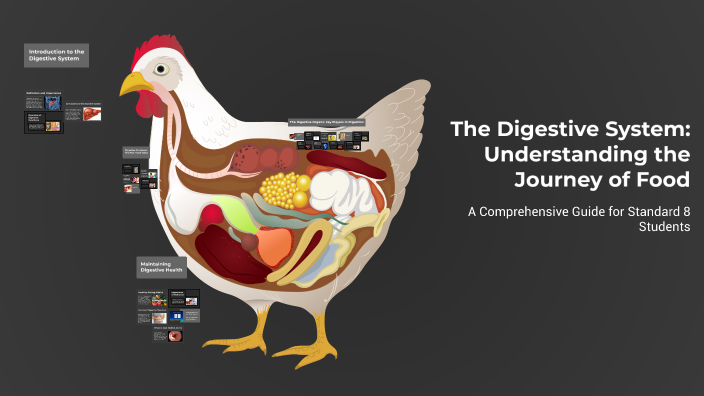 The Digestive System: Understanding the Journey of Food by Shamsudheen ...