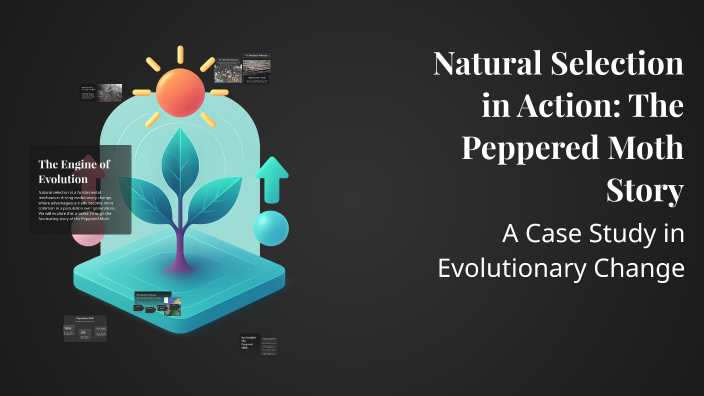 Natural Selection in Action: The Peppered Moth Story by Anayla Thomas ...