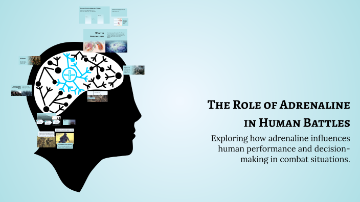 The Role of Adrenaline in Human Battles by omar best [AMV] on Prezi