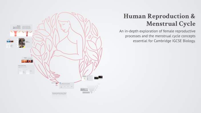 Human Reproduction & Menstrual Cycle by Jiya Saeed on Prezi