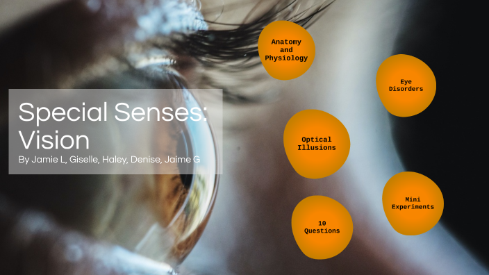 Human Bio Special Senses: Vision by Denise Ramirez Mora on Prezi