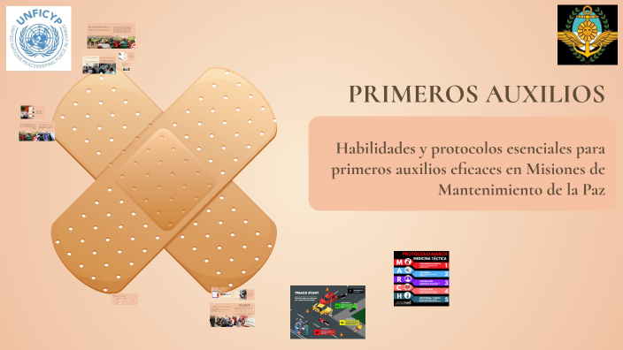 United Nations Buddy First Aid Course by adriana roa on Prezi