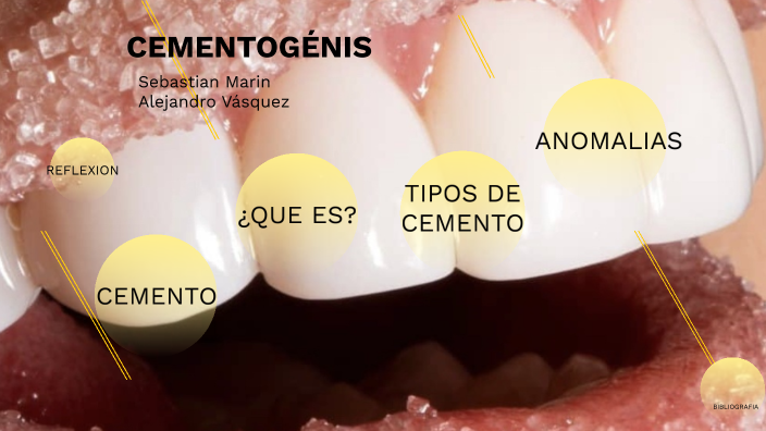 Cementogenesis by sebas marin on Prezi