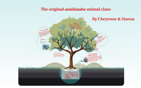 The seven original anishinabe animal clans by cheyenne warren on Prezi