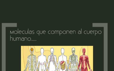 Ser humano (moleculas) by Jocelyn Romo