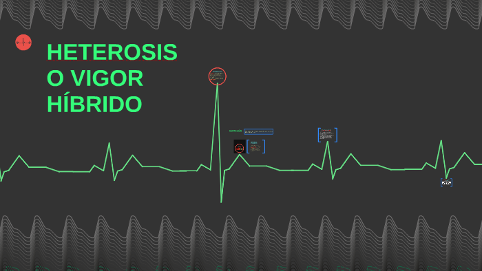 HETEROSIS O VIGOR HÍBRIDO by diego sevilla on Prezi