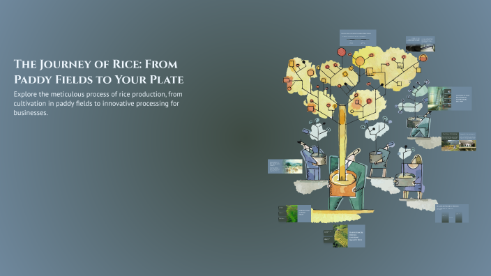 The Journey of Rice: From Paddy Fields to Your Plate by Venu Madd on Prezi