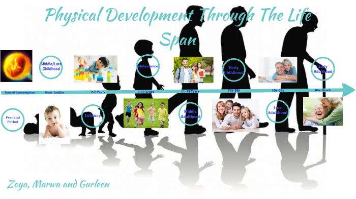 Physical Development Timeline by Maha Naeem on Prezi