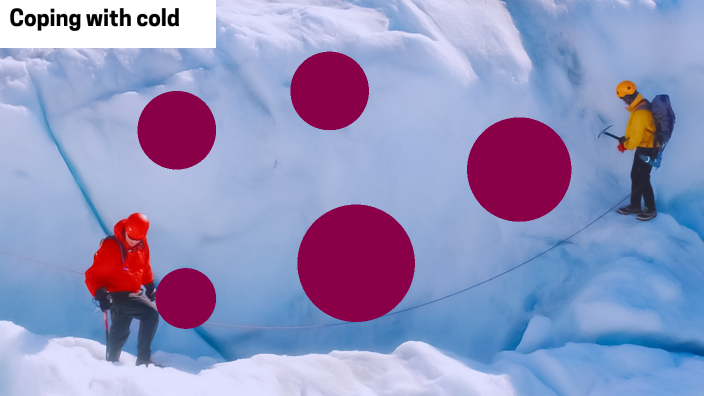 COPING WITH COLD by Eshan t.u on Prezi