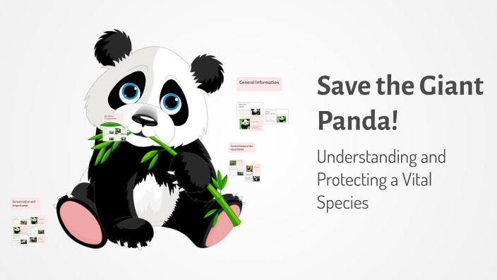 Save the Giant Panda! by Isabella Thomas on Prezi