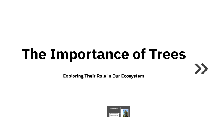 The Importance of Trees by Asfiya Mansuri on Prezi