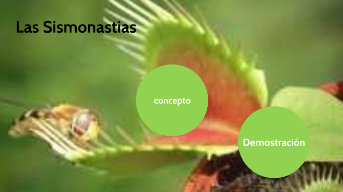 las sismonastias by Maria Isabella Perez Moreno on Prezi