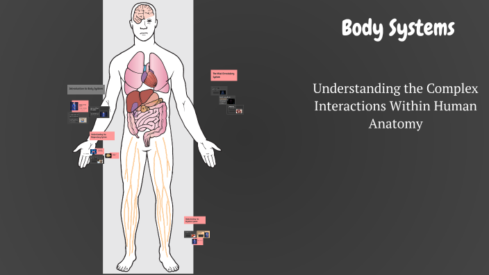 Exploring Body Systems by krystal Guerrero on Prezi