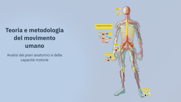 Teoria e metodologia del movimento umano by matteo masetti on Prezi
