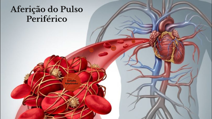 Aferição do Pulso Periférico by Carlos Freitas on Prezi