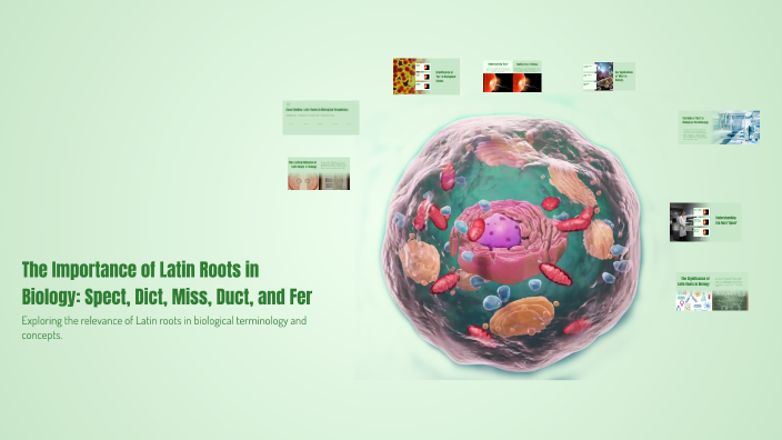 The Importance of Latin Roots in Biology: Spect, Dict, Miss, Duct, and ...