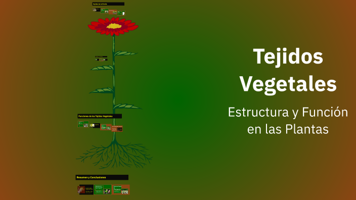 Tejidos Vegetales by Oscar Acosta on Prezi
