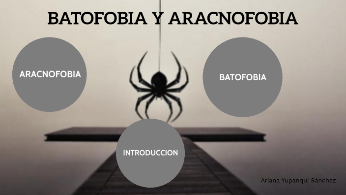 BATOFOBIA Y ARACNOFOBIA by Ariana Yupanqui Sánchez on Prezi