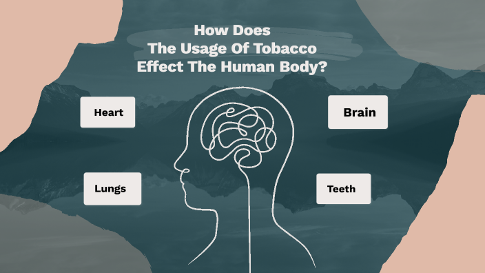 How the use of Tobacco effects the human body? by Sheyla Balon on Prezi