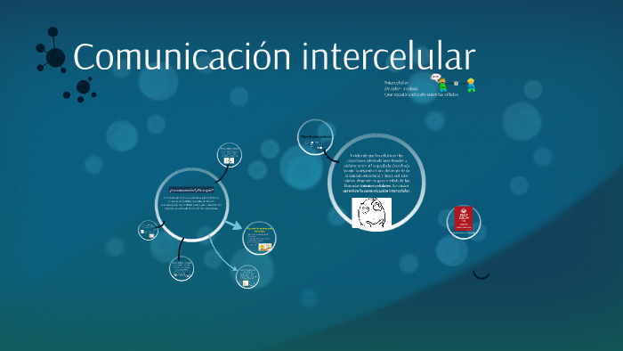 Comunicación intercelular by Paola Aguirre on Prezi