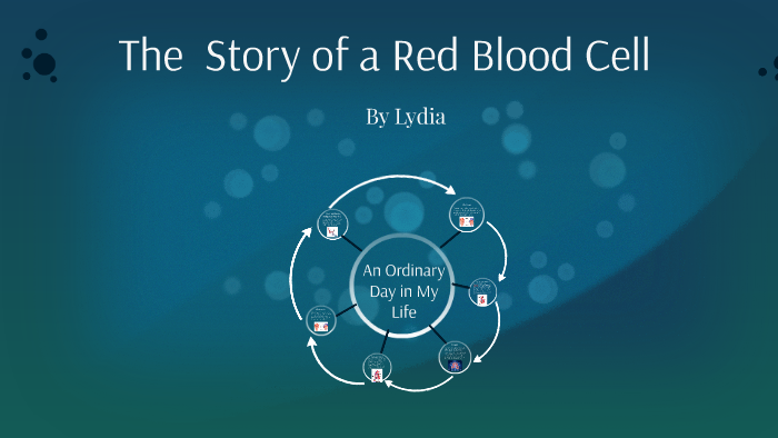 A Story of a Red Blood Cell by Lydia B on Prezi