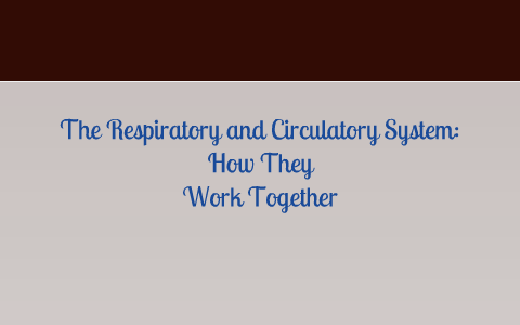 The Circulatory and Respiratory System: How They Work Together by Bela ...