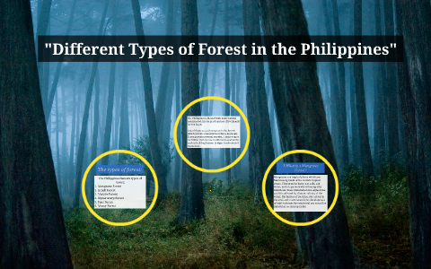 "Different Types of Forest in the Philippines" by Katrina Kierulf on Prezi
