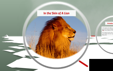 In the Skin Of a Lion by Cassandra Stewart on Prezi