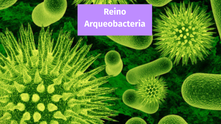 Reino Arqueobacteria by Daniel rivas on Prezi