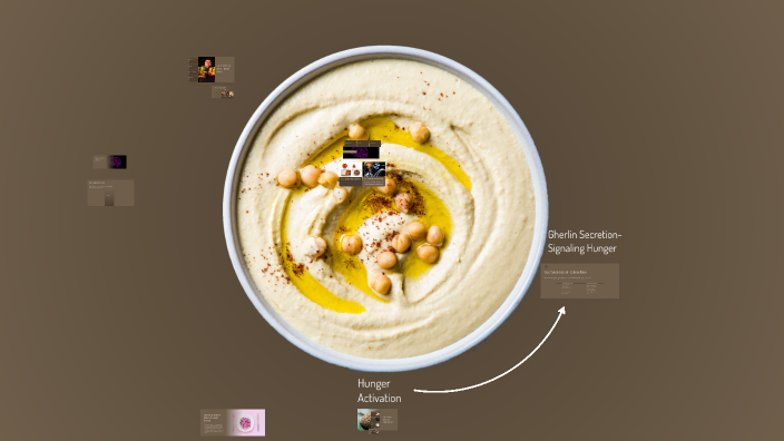 Understanding the Negative Feedback Loop in Hunger Regulation by Adam ...