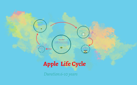 Apple life cycle by James Kerrane